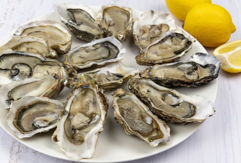 Inflatable Pig Costume KOOY - Blow-Up Adult Full Body Halloween Costume ...